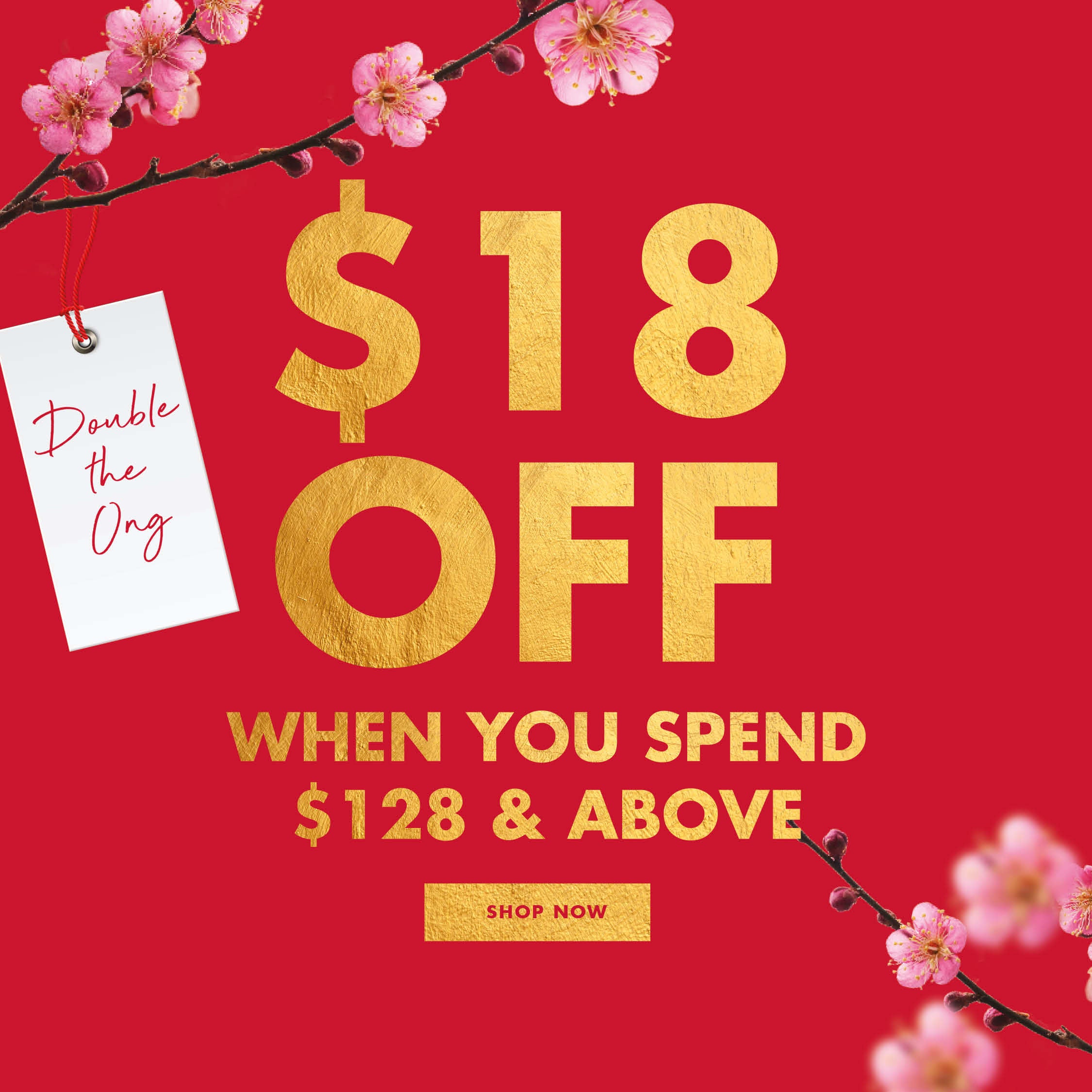 MS. READ | Leading Plus Size Ladies Fashion – Ms. Read Singapore